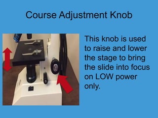 Microscope Parts 101 | PPT