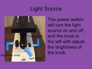 Microscope Parts 101 | PPTX