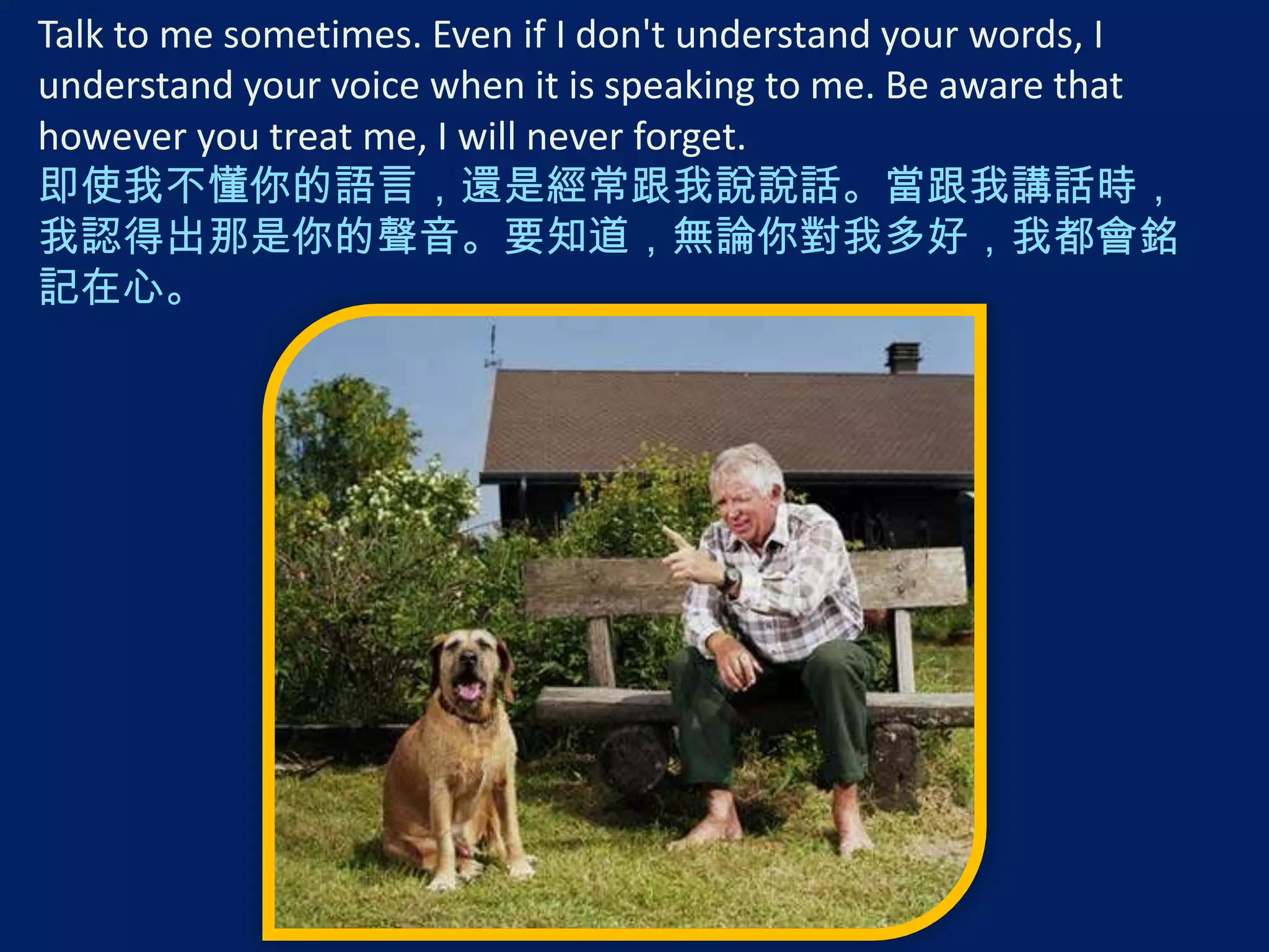 Ten commandments for owning a dog (養狗十戒) | PPSX