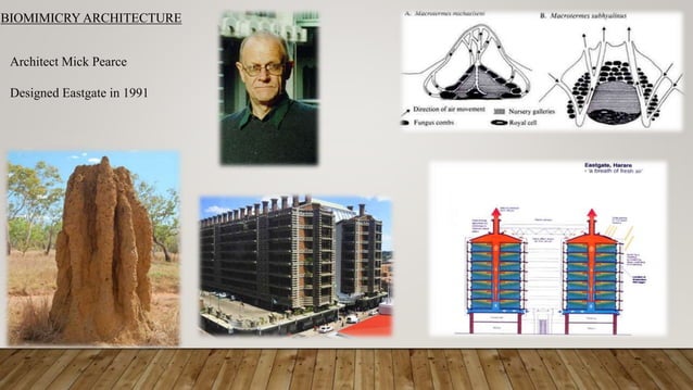 African Architecture ( ZIMBABWE ) Pecha kucha Presentation | PPT