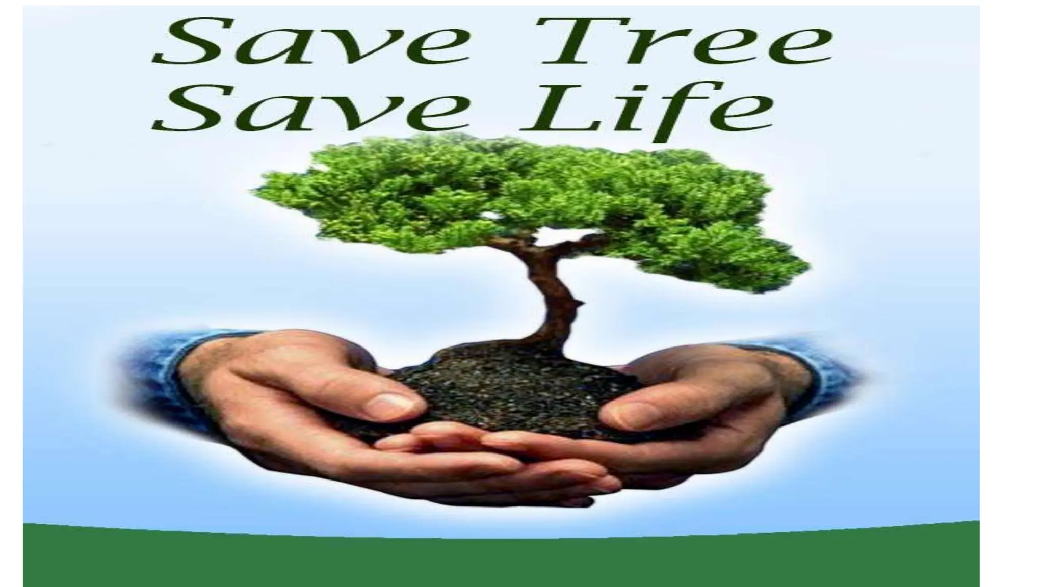 TENDING OPERATION 2_014223.ppt tree improve | PPTX