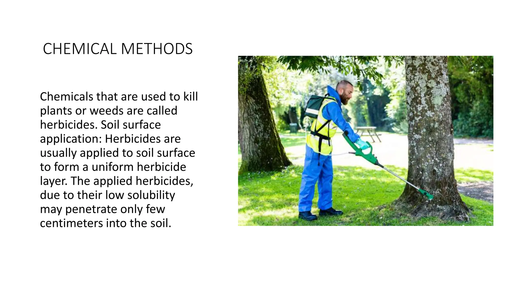 TENDING OPERATION 2_014223.ppt tree improve | PPTX