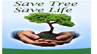 TENDING OPERATION 2_014223.ppt tree improve | PPTX