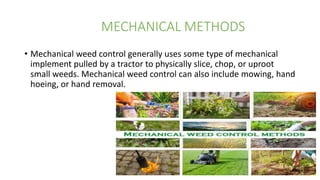 TENDING OPERATION 2_014223.ppt tree improve | PPTX