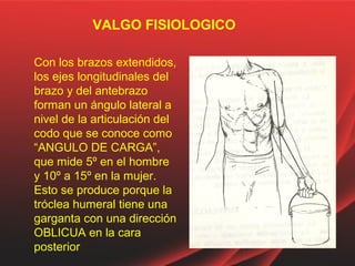 Tendinitis de codo p | PPT