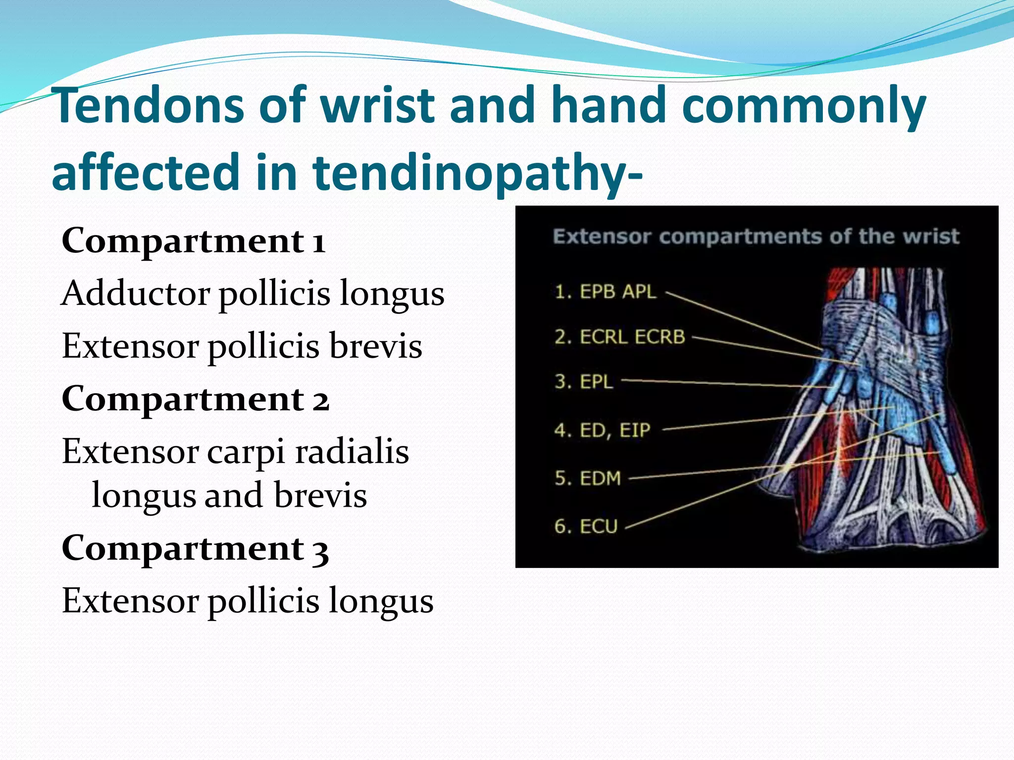 Tendinopathies of wrist and hand | PPTX