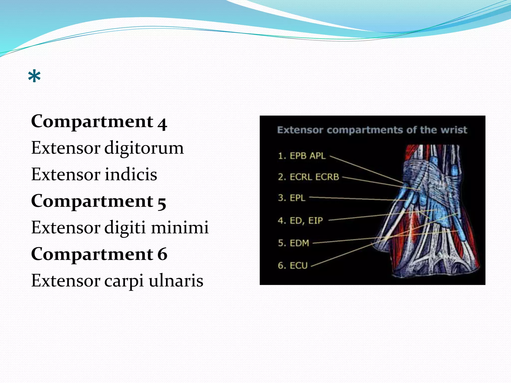 Tendinopathies of wrist and hand | PPTX