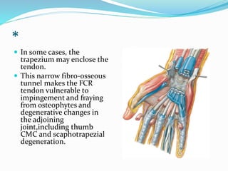 Tendinopathies of wrist and hand | PPTX