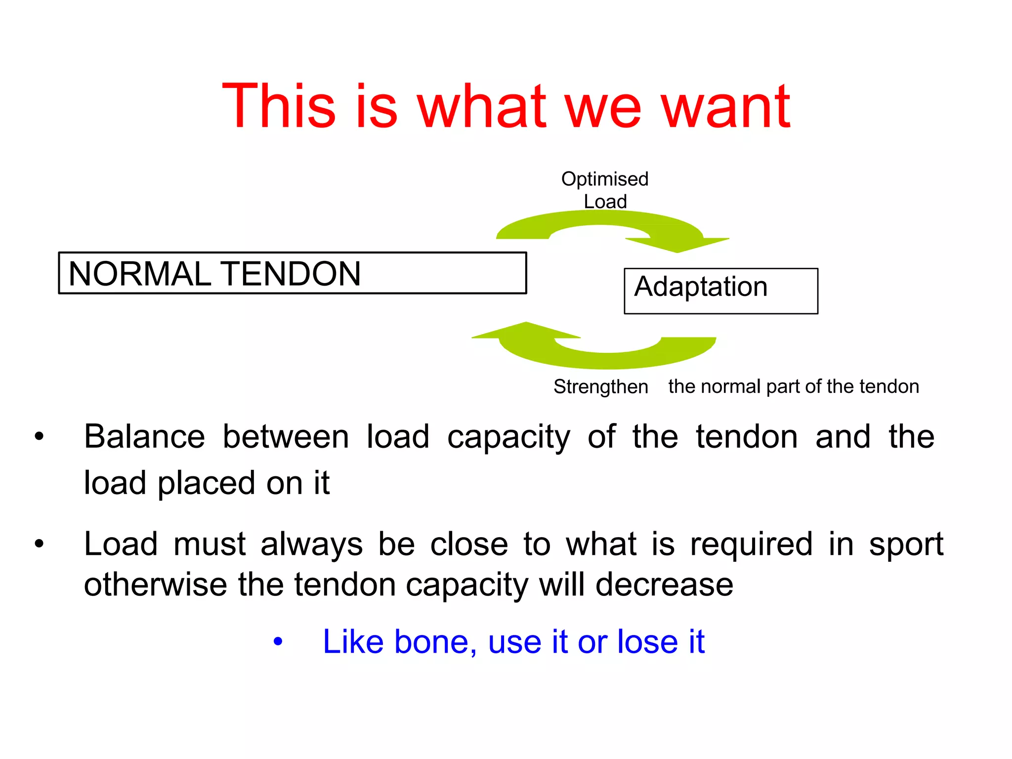 Tendinopathy I Dr.RAJAT JANGIR JAIPUR | PPTX