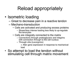 Tendinopathy I Dr.RAJAT JANGIR JAIPUR | PPTX