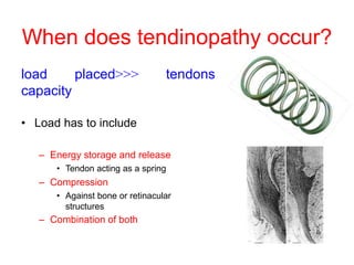 Tendinopathy I Dr.RAJAT JANGIR JAIPUR | PPTX
