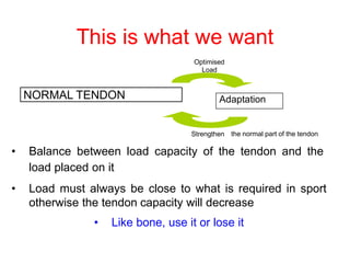 Tendinopathy I Dr.RAJAT JANGIR JAIPUR | PPTX