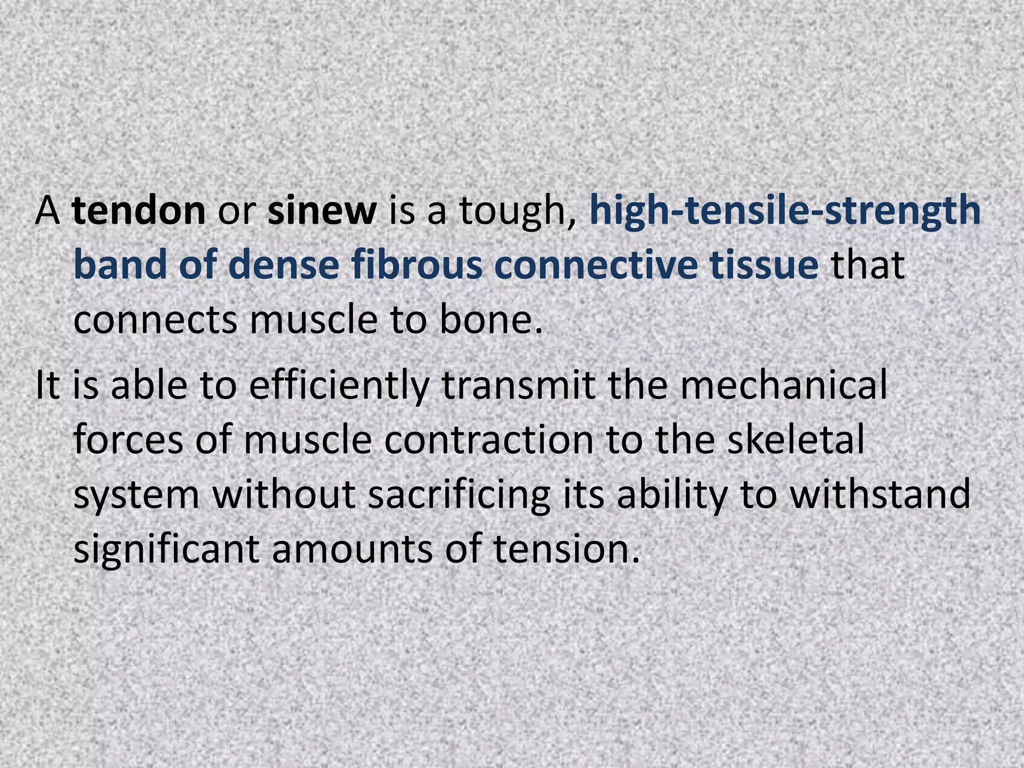 TENDINOPATHY AND TENDON REPAIR..pptx