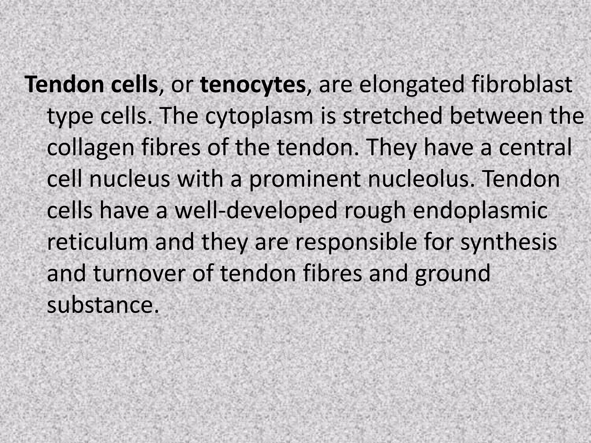 TENDINOPATHY AND TENDON REPAIR..pptx
