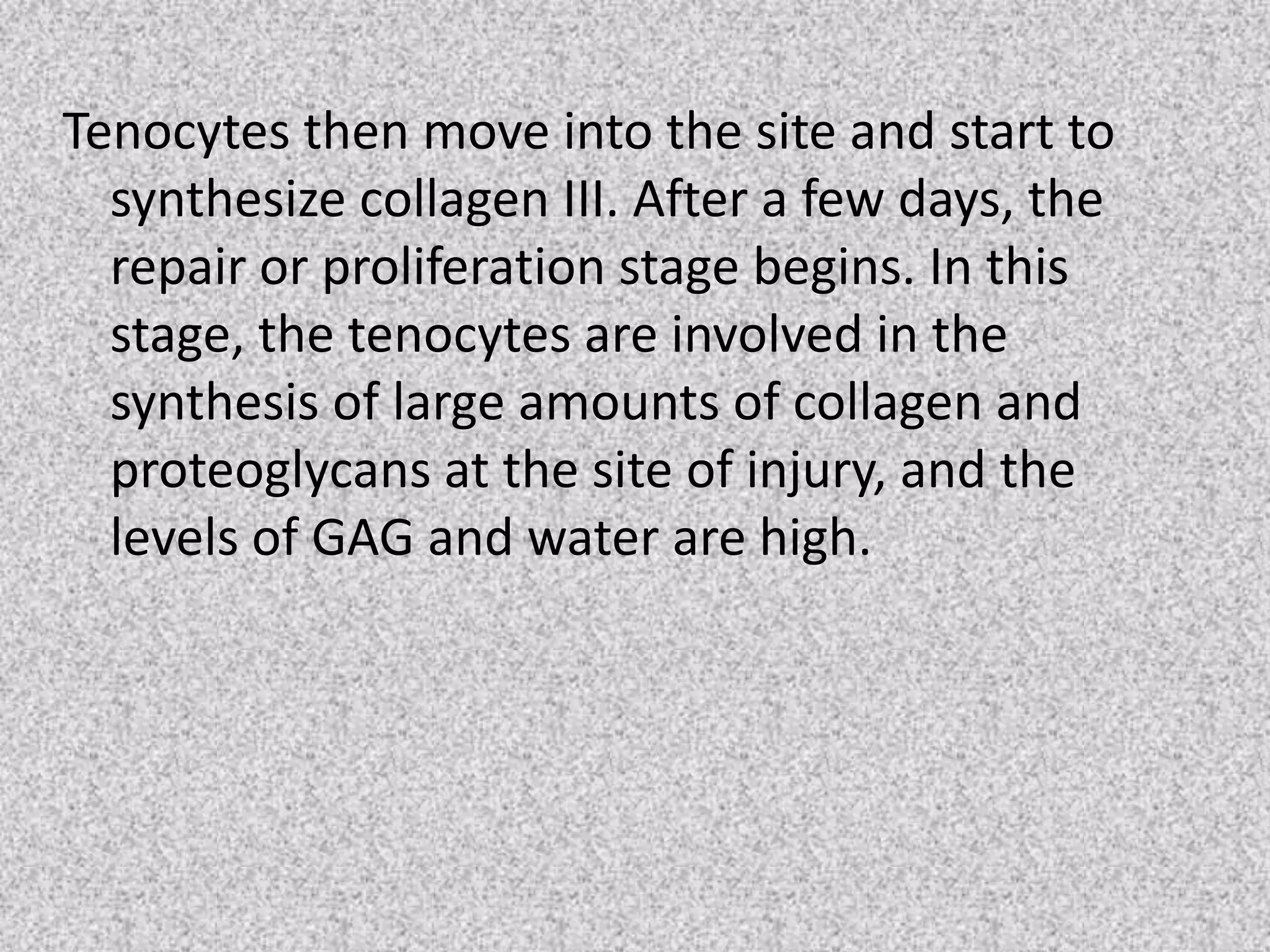 TENDINOPATHY AND TENDON REPAIR..pptx