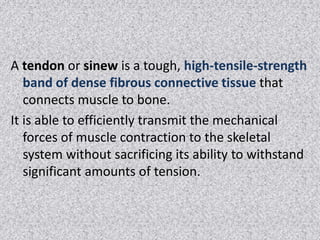 TENDINOPATHY AND TENDON REPAIR..pptx