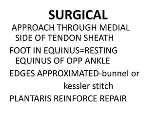 Tendo achilles injury | PPTX