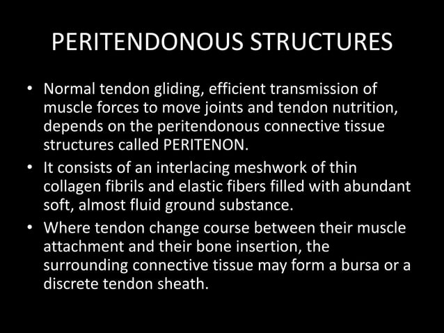 Tendon | PPTX | Bone and Joint Conditions | Diseases and Conditions
