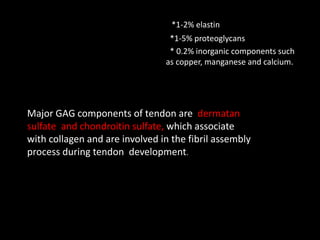 Tendon | PPTX