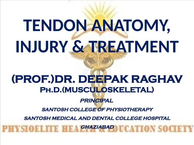 TENDON.pptx Know about tendon, and components of tendon, tendon injury ...