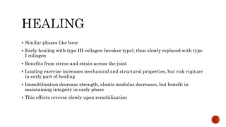 Tendon and ligament healing | PPTX