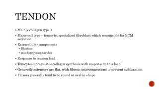 Tendon and ligament healing | PPTX