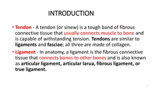 Tendon and ligament injureies | PPTX