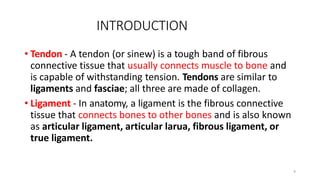 Tendon and ligament injuries - Basics.pptx