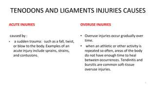 Tendon and ligament injuries - Basics.pptx
