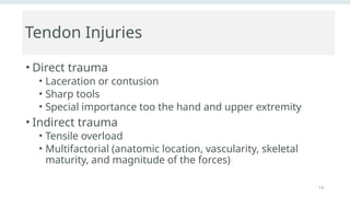 Tendon and Ligaments Structure Presentation | PPTX