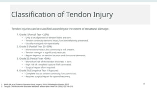 Tendon and Ligaments Structure Presentation | PPTX