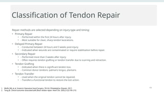 Tendon and Ligaments Structure Presentation | PPTX