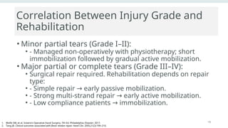 Tendon and Ligaments Structure Presentation | PPTX