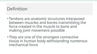Tendon and Ligaments Structure Presentation | PPTX