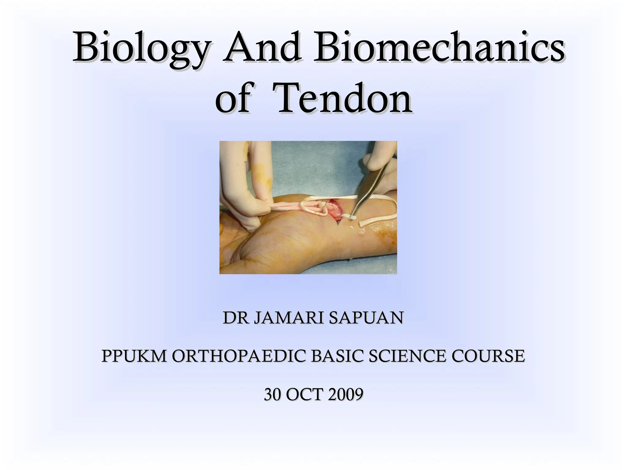 TENDON BASIC SCIENCE biology and biomechanics of tendon | PPT
