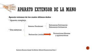 TENDONES EXTENSORES Y FLEXORES MANO.pptx