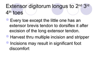 flexor TENDON GRAFTING one and two stage.ppt