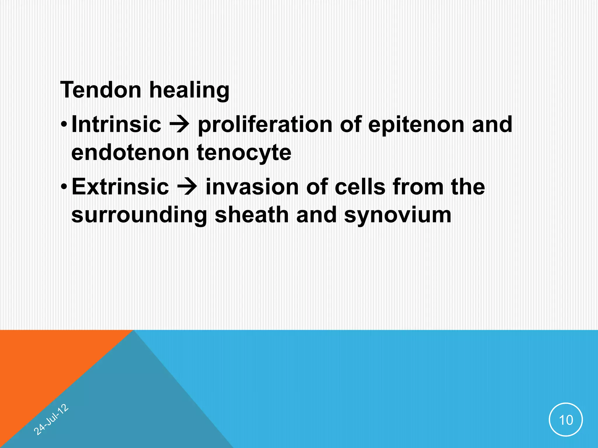 Tendon healing | PPTX
