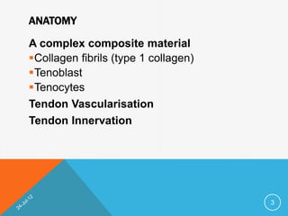 Tendon healing | PPTX