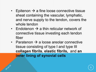 Tendon healing | PPTX