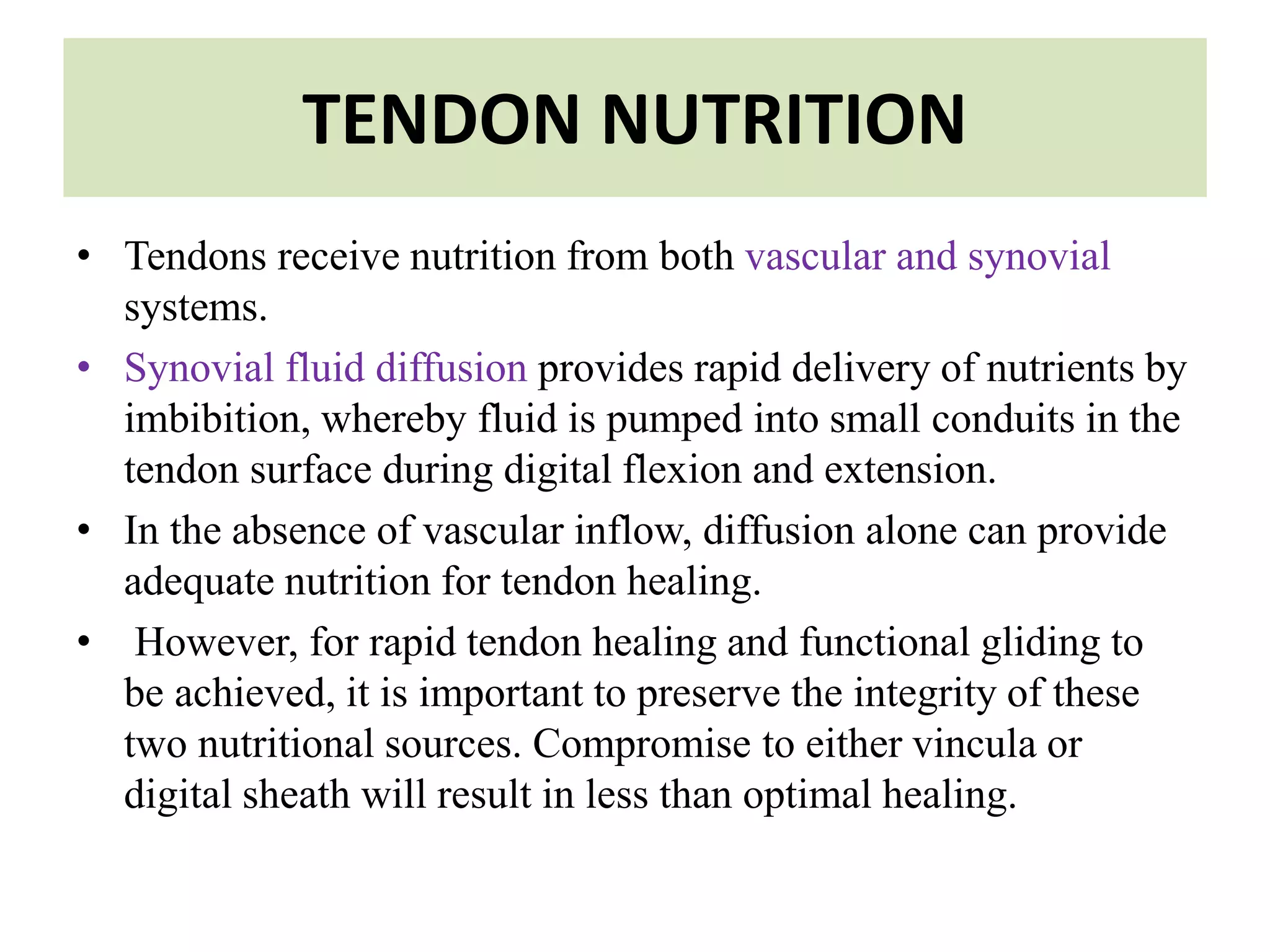 Tendon healing and tendon grafting | PPTX
