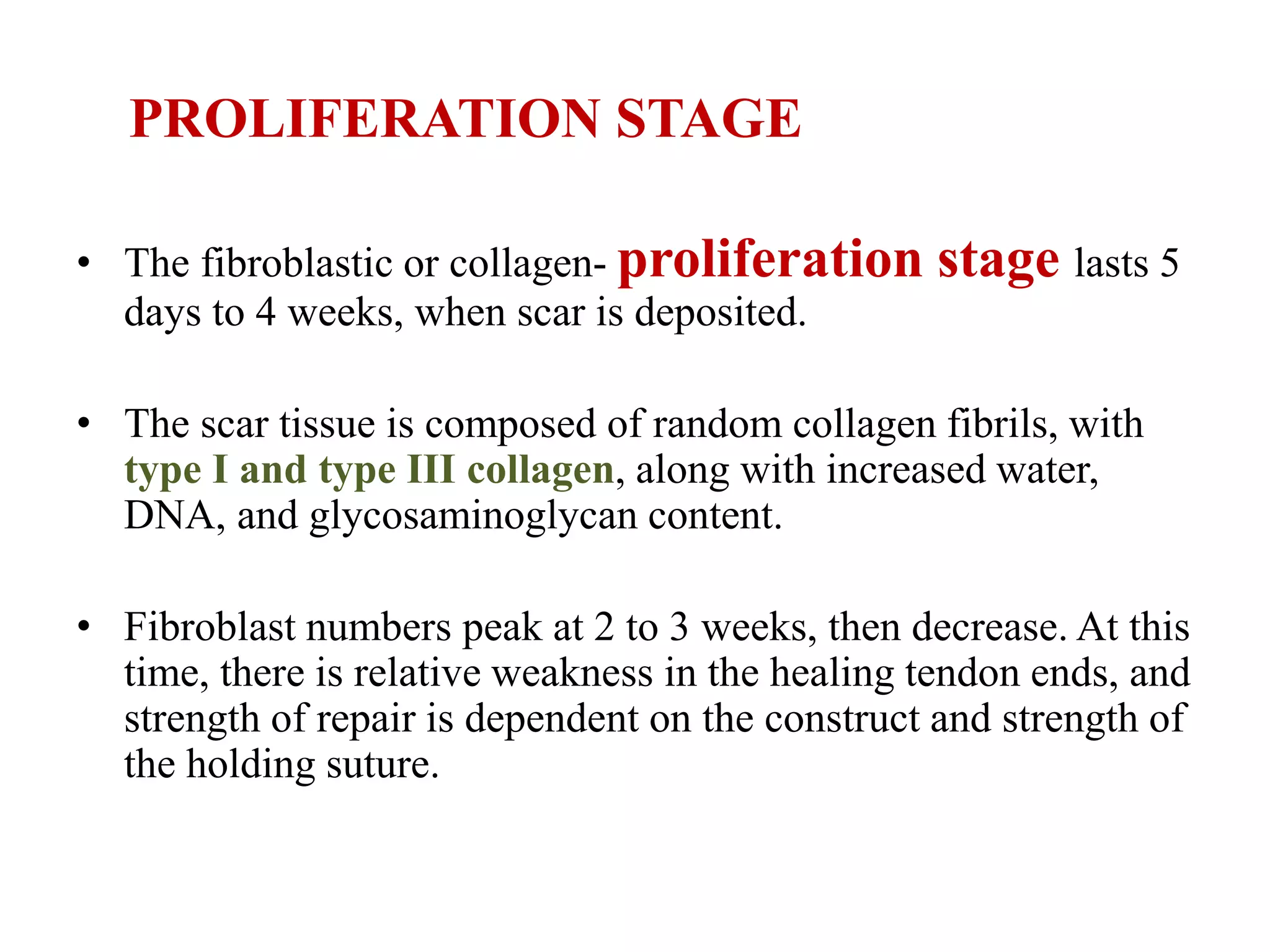 Tendon healing and tendon grafting | PPTX