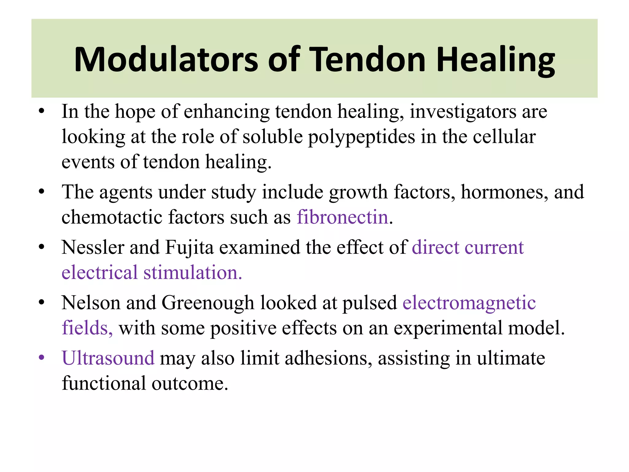 Tendon healing and tendon grafting | PPTX