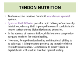 Tendon healing and tendon grafting | PPTX