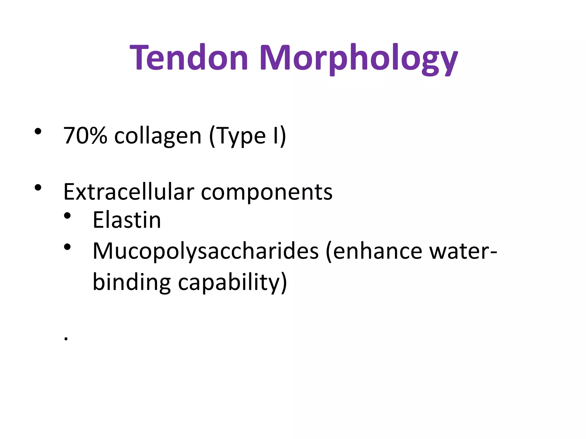 Tendon injuries of hand | PPTX