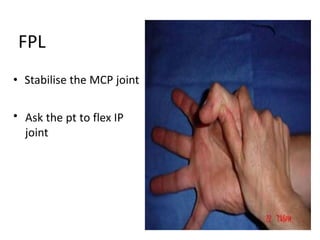 Tendon injuries of hand | PPTX
