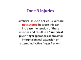 Tendon injuries of hand | PPTX
