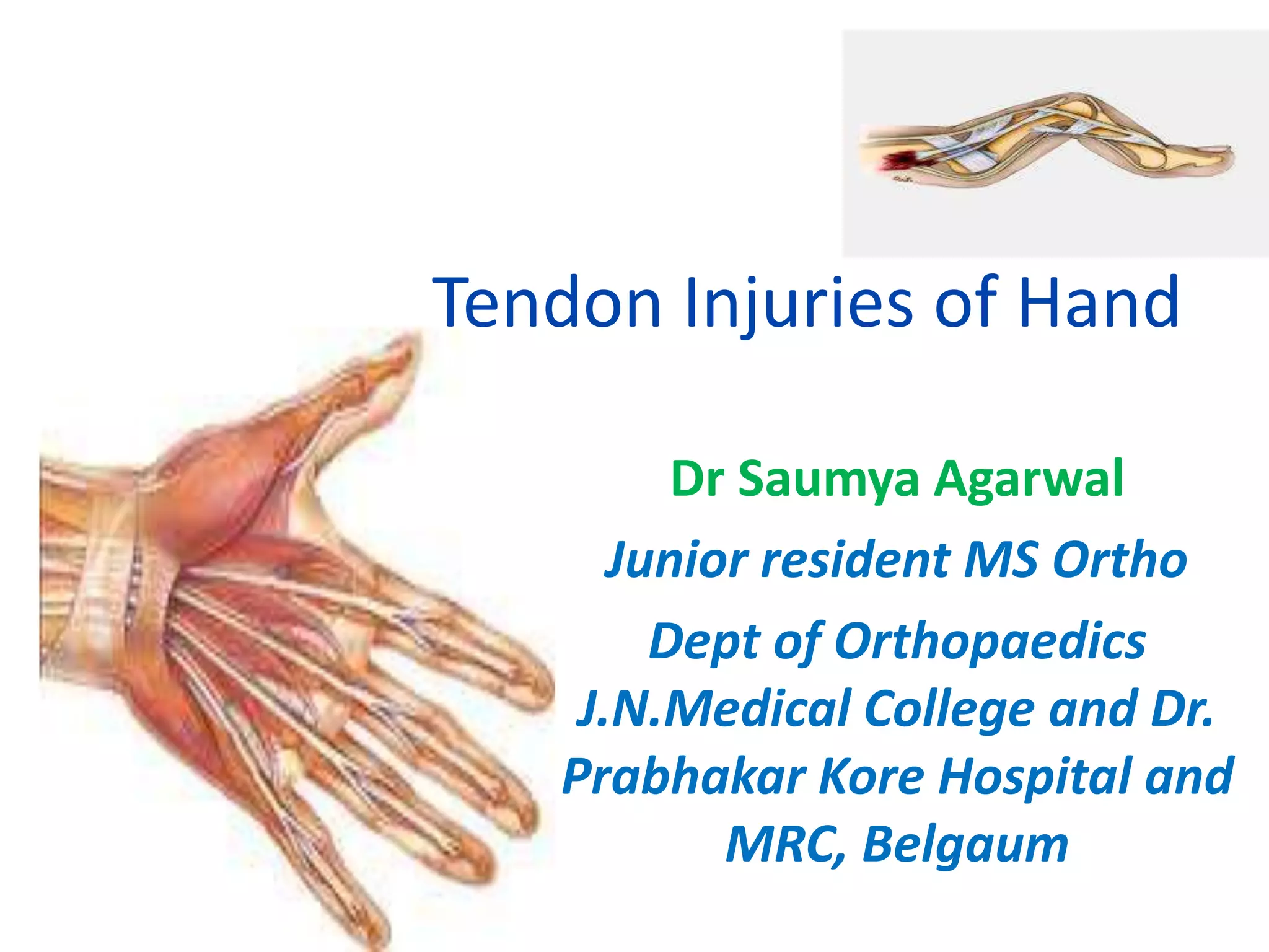 Tendon injuries of hand by Dr Saumya Agarwal | PPTX