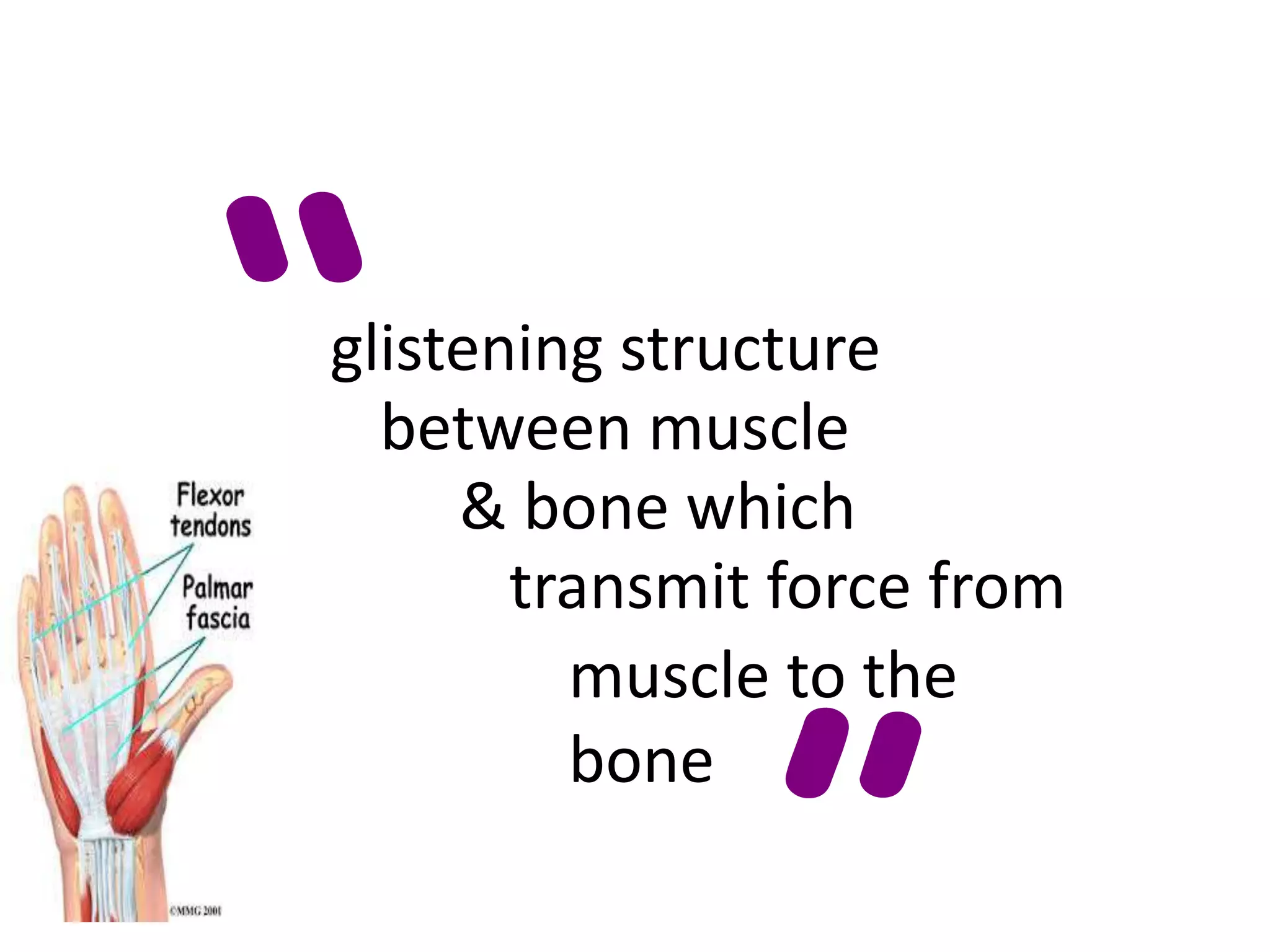 Tendon injuries of hand by Dr Saumya Agarwal | PPTX