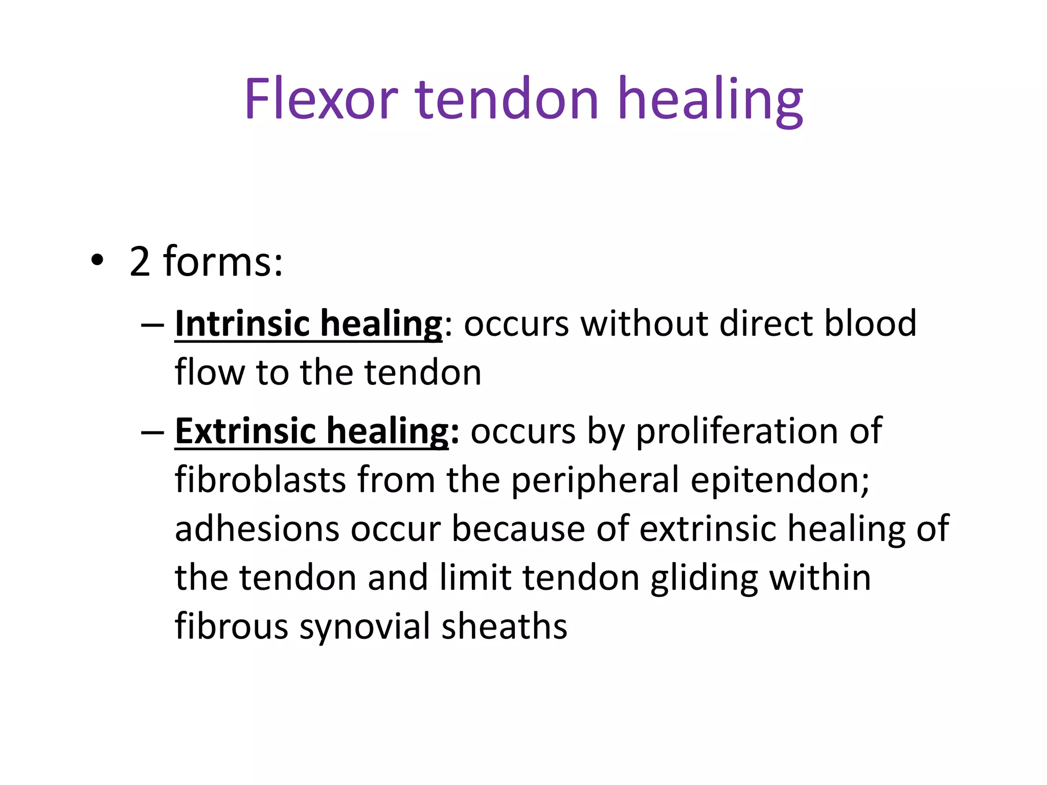 Tendon injuries of hand by Dr Saumya Agarwal | PPTX